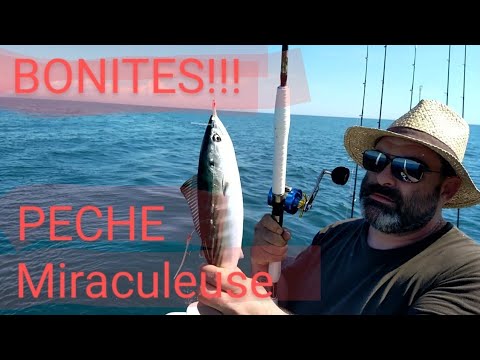 Pêche MIRACULEUSE de la BONITE à la Traîne avec MEDITERRANEE-FISHING ...