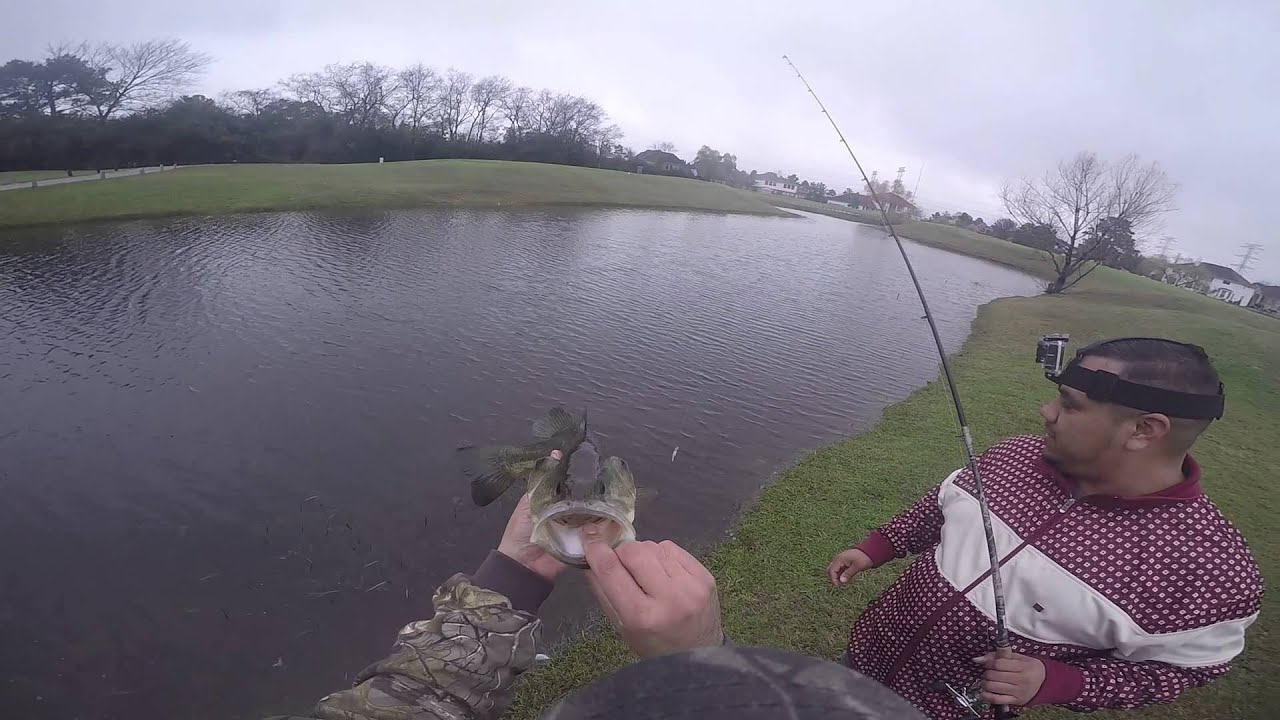 Golf Course Bass Fishing (Pt2) (GoPro 1080p HD) - YouTube