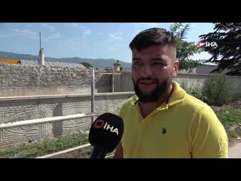 KURBANLIK KOYUNLAR FİRARDA