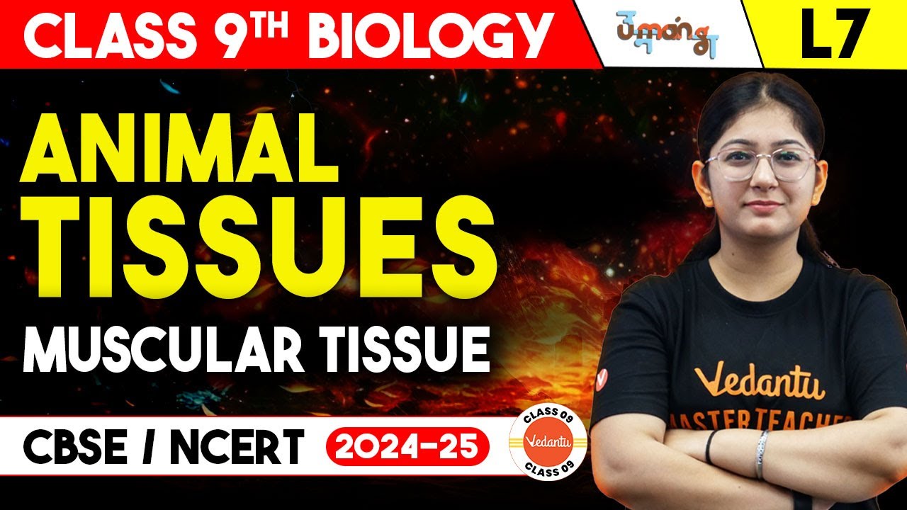 Tissues L7 | Animal tissues - Muscular tissue | Umang CBSE 09 | Biology ...
