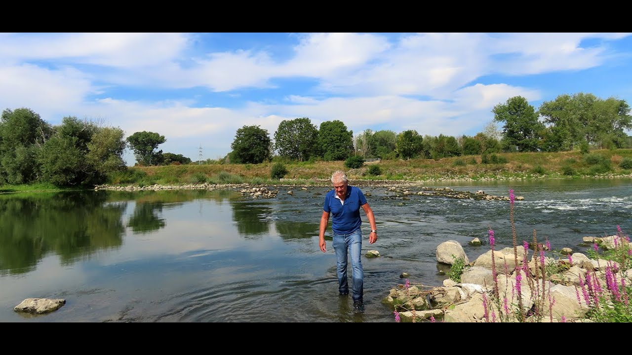 Zomerbeelden 2022 van de Maas in Meers en Maasband fotovideo Jan ...