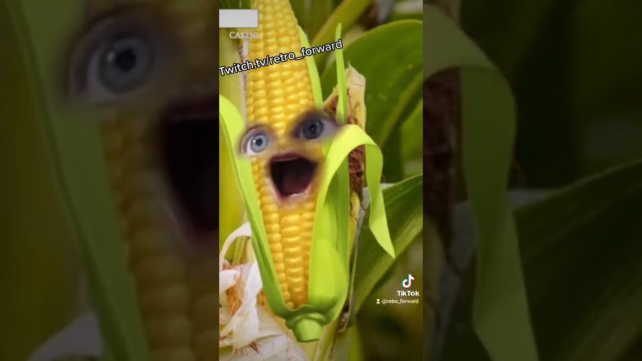 this is very corny, corn singing corn song.. - YouTube