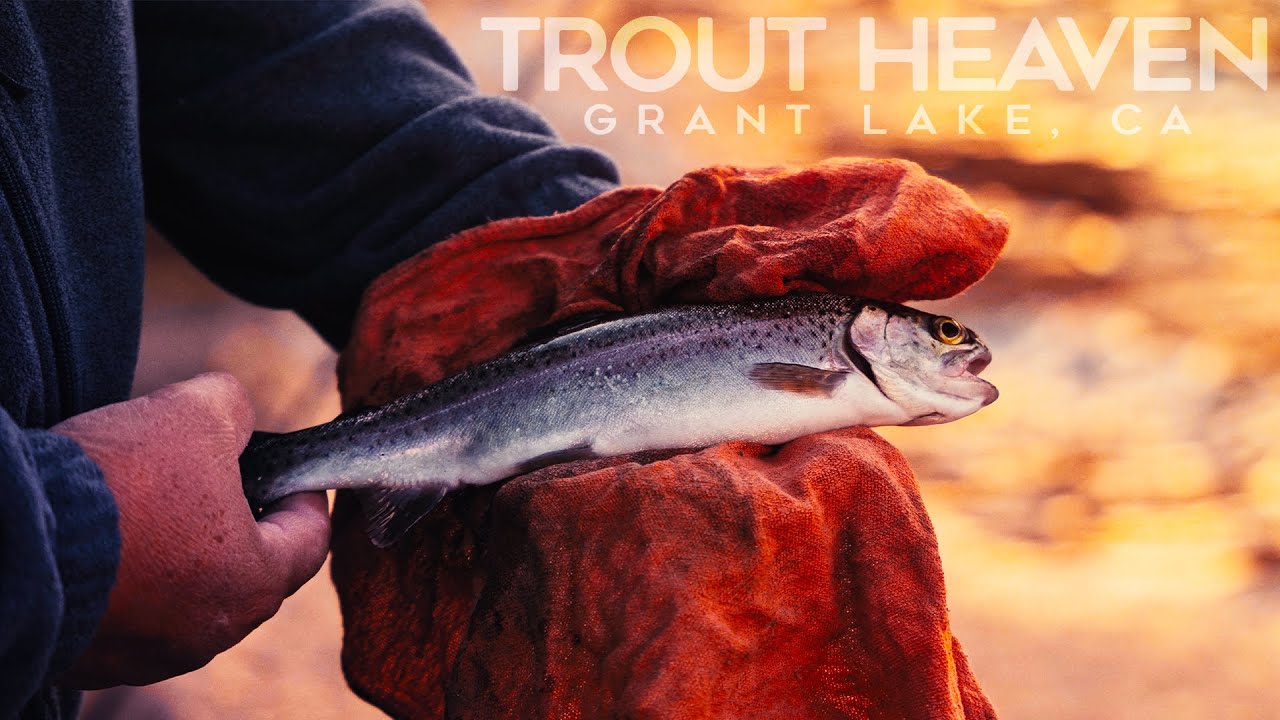The Day We Found a Trout Fishing Heaven - YouTube