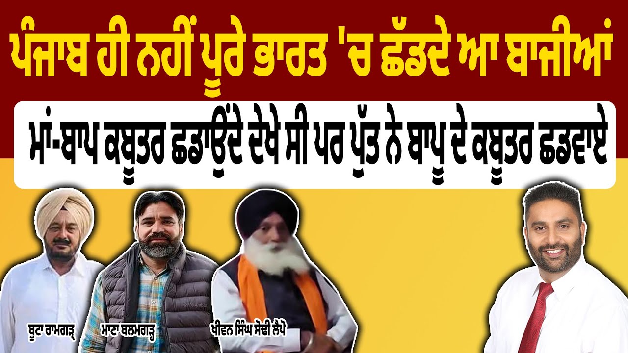 ਪੁੱਤ ਨੇ ਬਾਪੂ ਦੇ ਕਬੂਤਰ ਛਡਵਾਏ|| Sundip Brar Interview with Boota Brar, Mana Ballamgarh and Sodhi ...