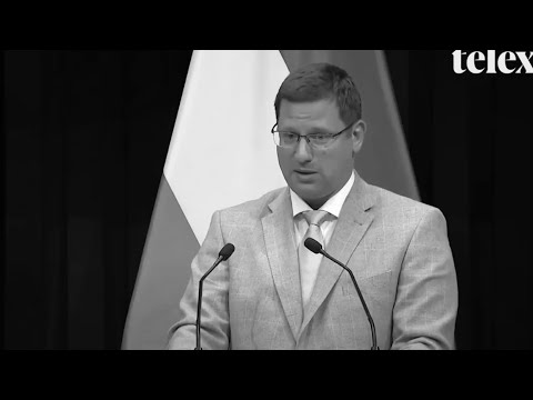 #585 - Gulyás Gergely magányos Magyar Péter nélkül