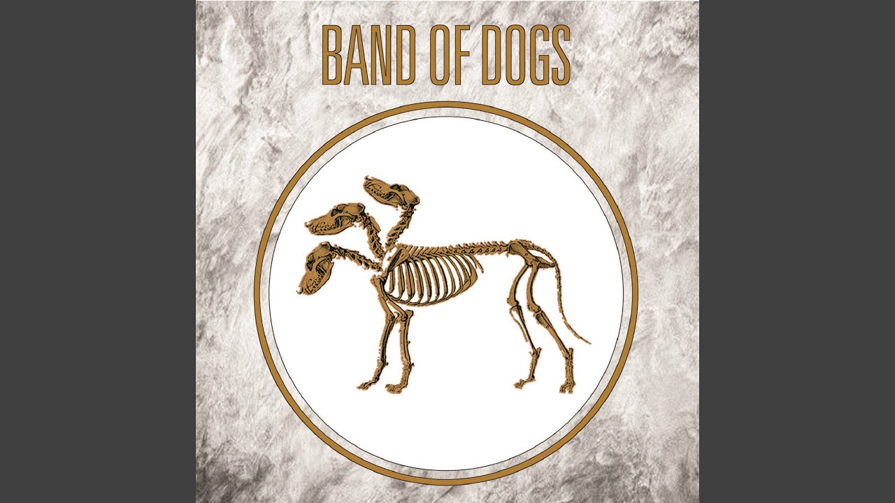 Got Damn Dogs - YouTube