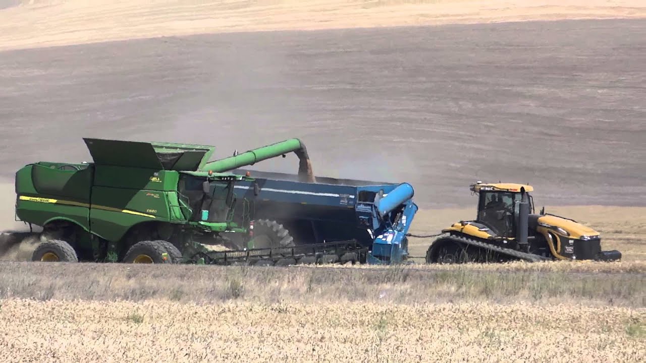 Combine transfers wheat to bankout wagon - YouTube
