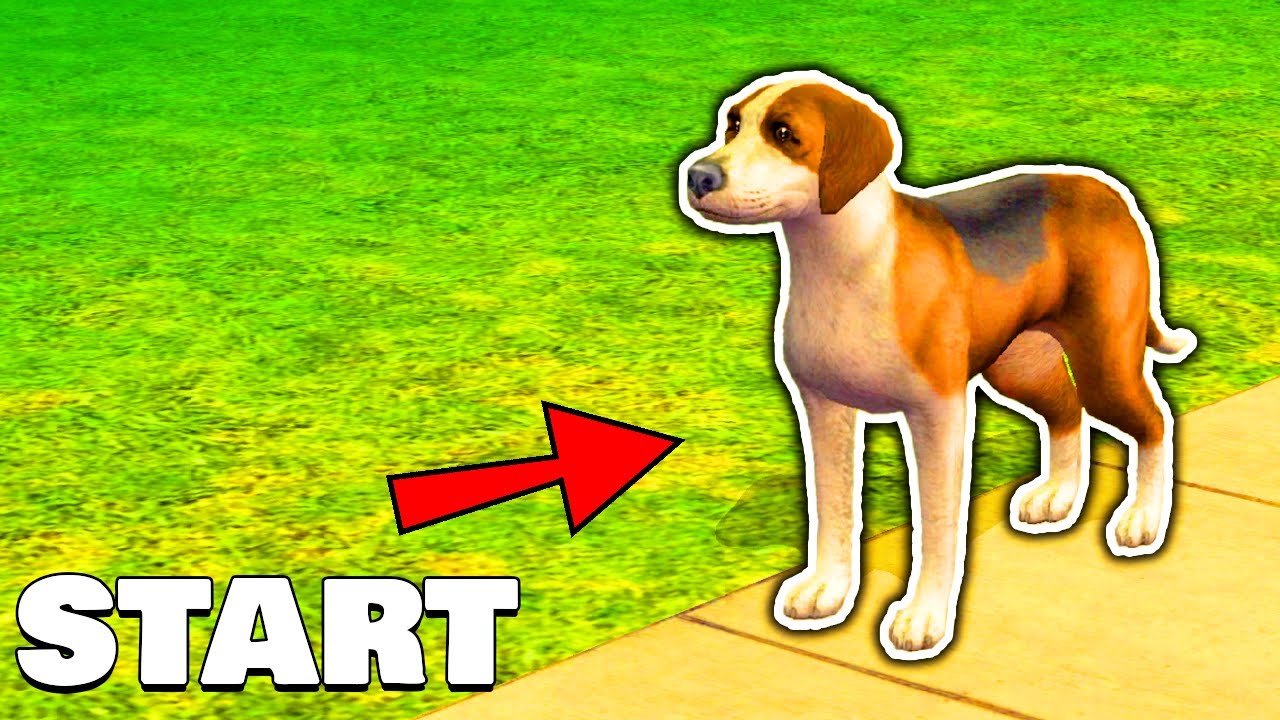 The Sims 2, 1 Dog Start... - YouTube