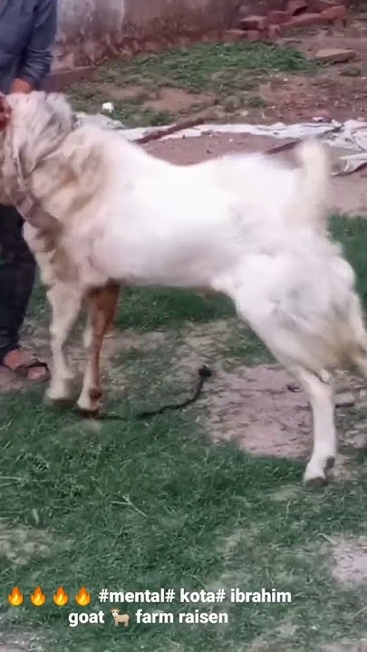 May 30, 2023 - YouTube