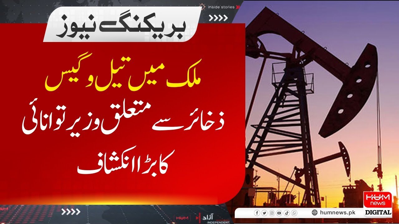 Major disclosure of the Minister of Energy regarding oil and gas ...