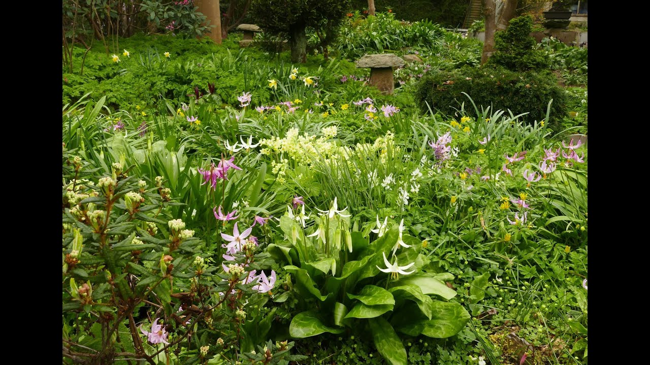 Bulb Log Video Diary 11 April 2024 - YouTube