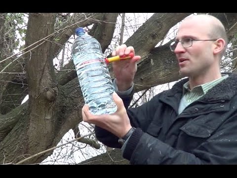 Extinction debt in 60 seconds - YouTube