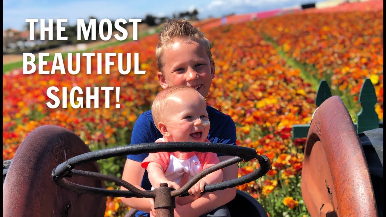 😍THE MOST BEAUTIFUL SIGHT!! 😍 - YouTube