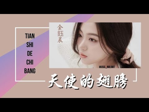 天使的翅膀-Tian Shi De Chi Bang [金鈺晨-Jin Yu Chen] chi/pinyin lyrics - YouTube