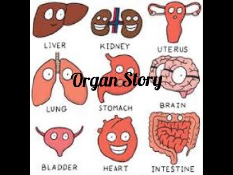 Organ Story (Short Film) - YouTube