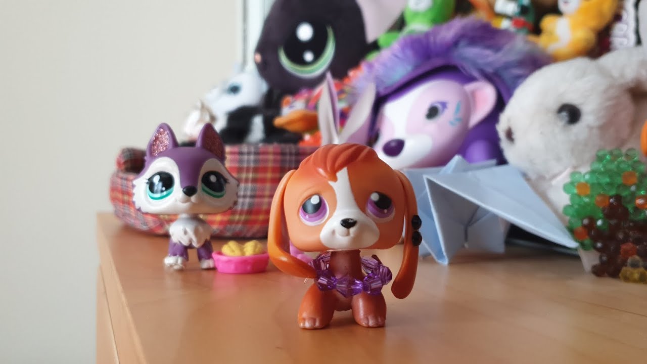 Lps Haul 21 - Sparkle Husky - YouTube