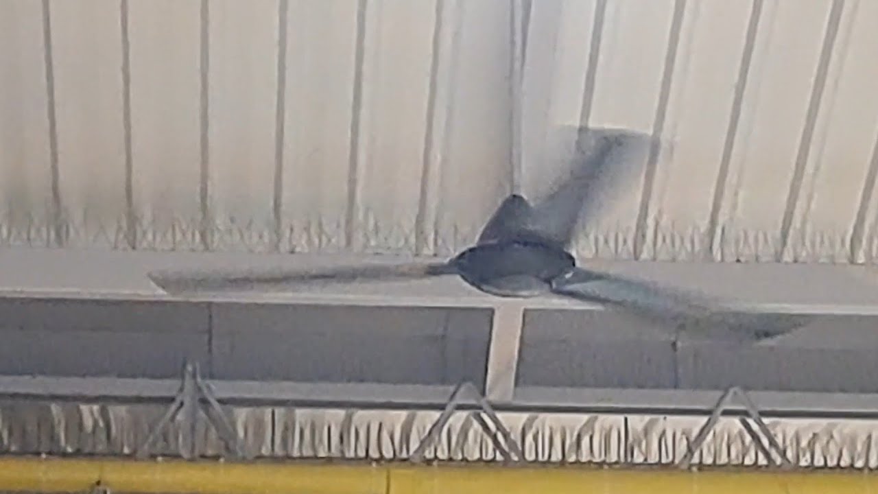 KDK Ceiling Fan M60SG - YouTube