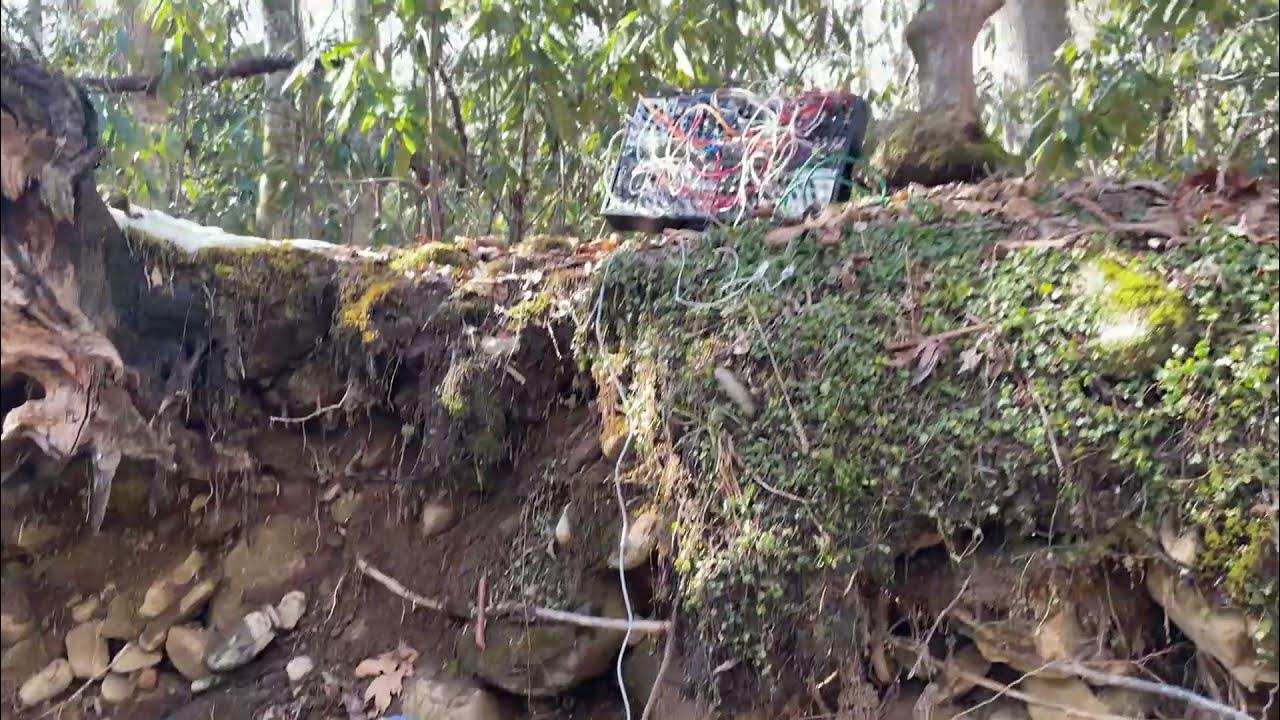 Rattle Snake Plantain Plays Synth: A trip to the woods episode 1 - YouTube