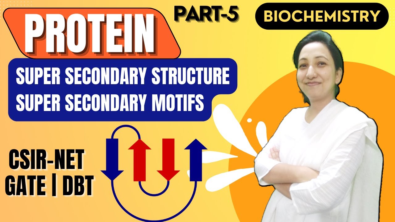 Protein Part 5 | Super Secondary Structure of Protein | Super Secondary ...