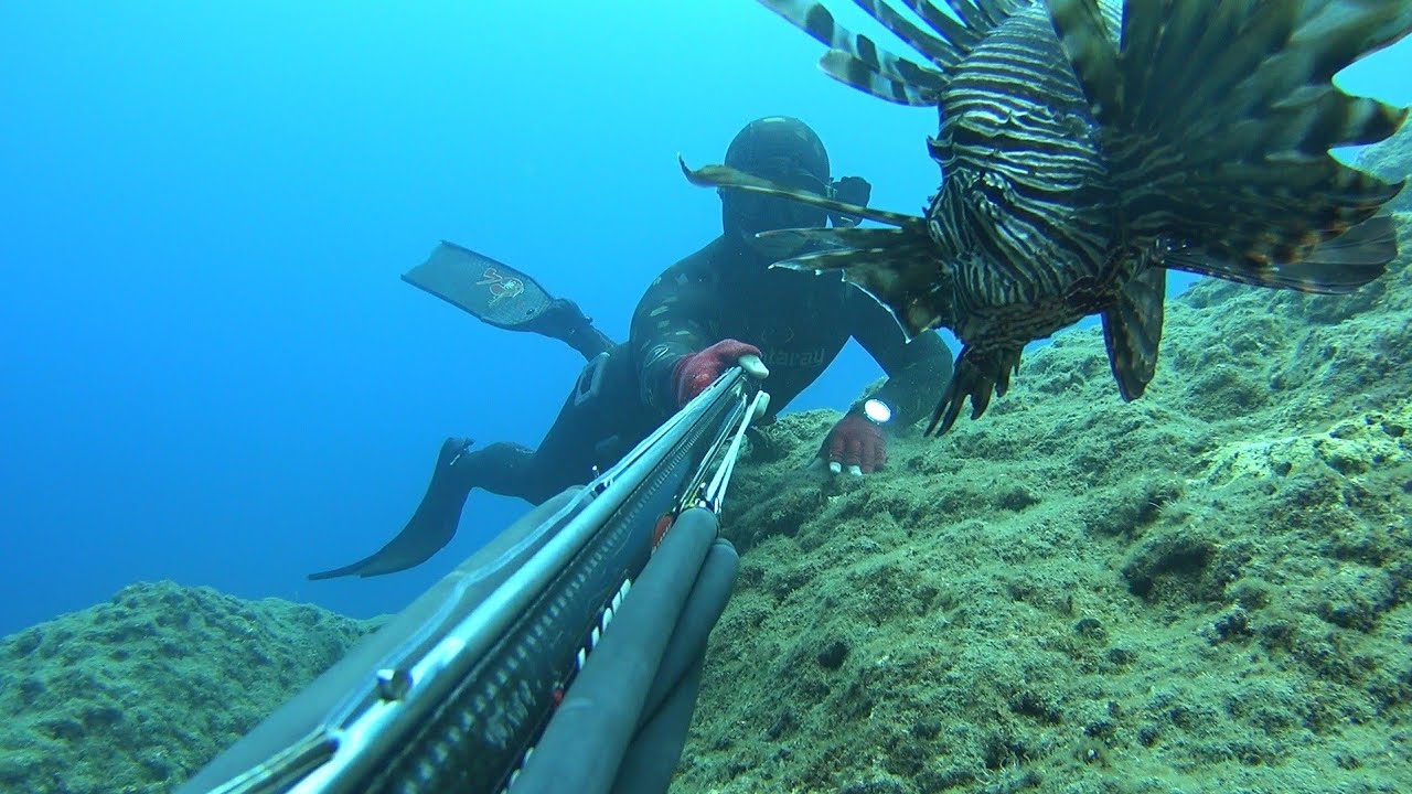 📽 Επικίνδυνα Ψάρια 🔱 Dangerous Fish 😲 - YouTube