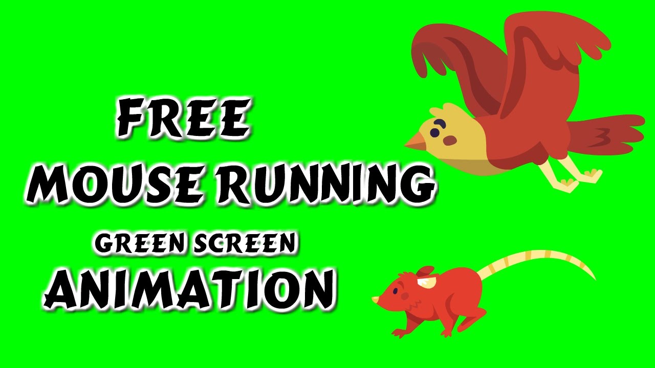 Free Mouse Running green screen Animation - YouTube