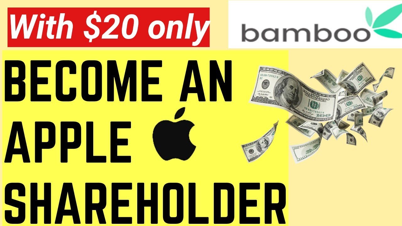 BAMBOO APP REVIEW VOL.2: How To Invest On The Bamboo App - YouTube