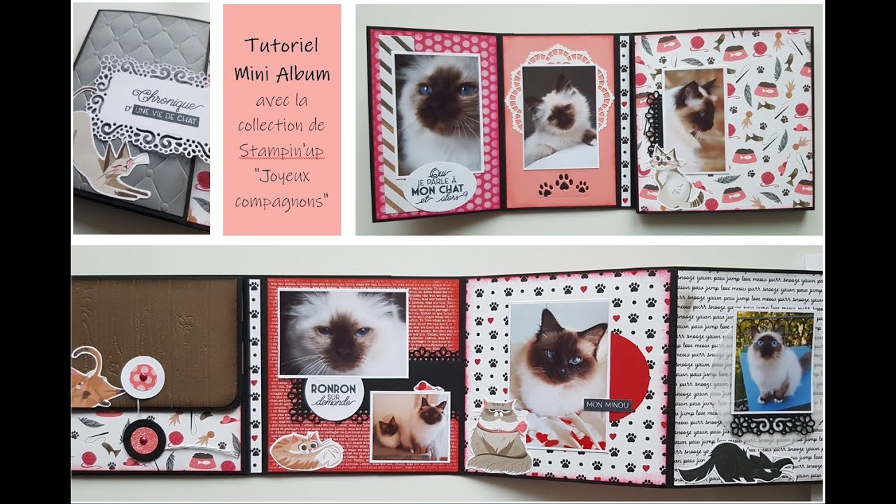 Mini-Album avec le collection de papier Joyeux Compagnons - YouTube