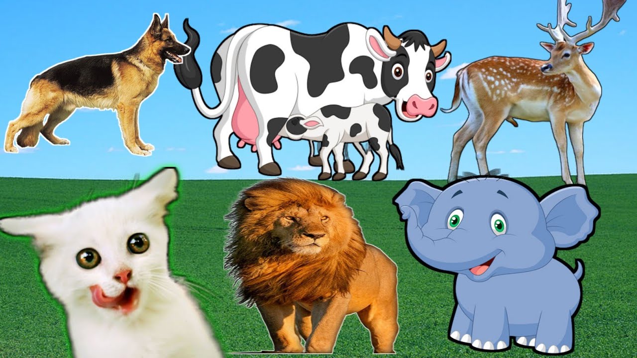 CUTE LITTLE ANIMAL SOUNDS : COW, SHEEP, GOAT, HORSE, CAT, DOG, ANIMALS ...