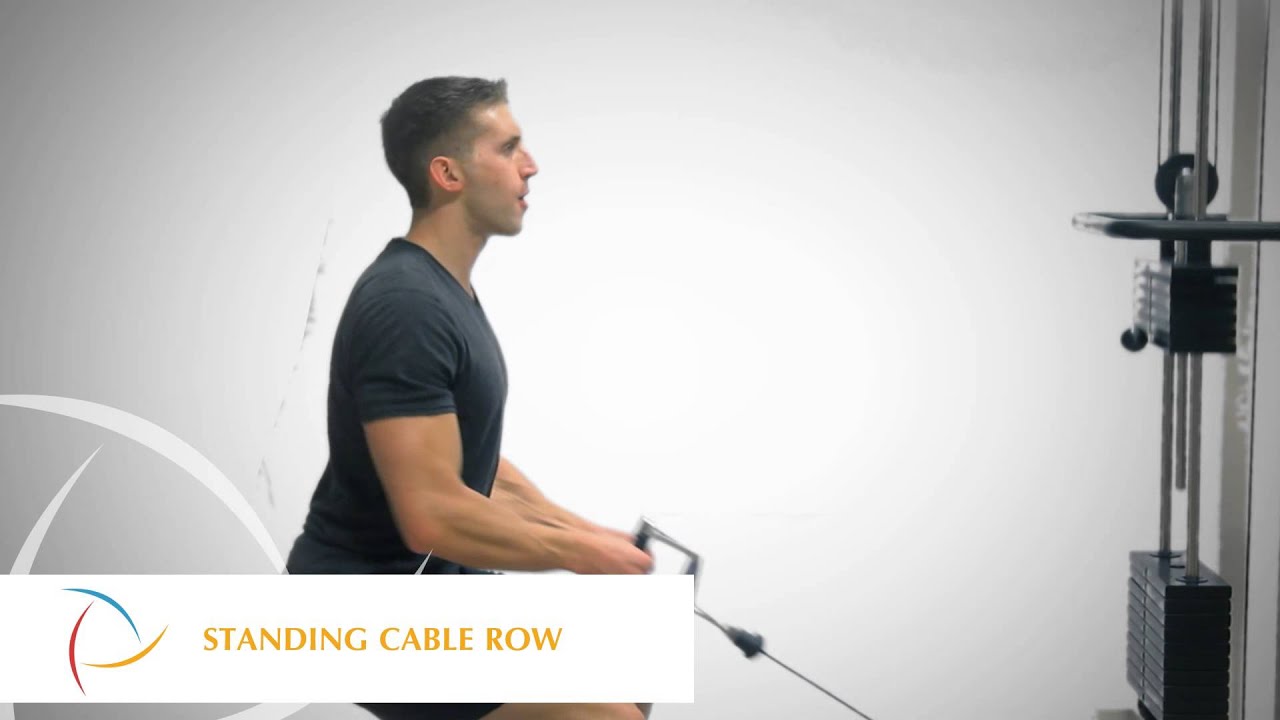 Standing Cable Row - Exercise - Fitness Oefening - FITsociety - YouTube