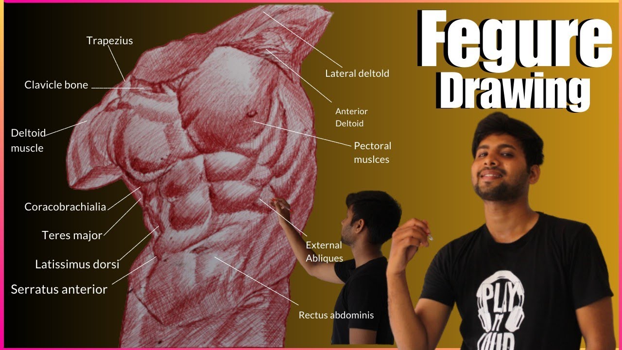 Torso drawing with pen -Easy technique for beginners ( Draw with me ...