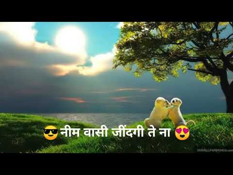 New WhatsApp status | new gondi song | nim vasi jindagi te | gondi WhatsApp status