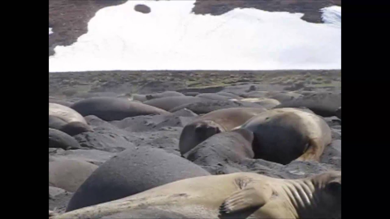 Don't Throw Sand - YouTube