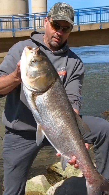 Can You Eat Asian Carp? - YouTube