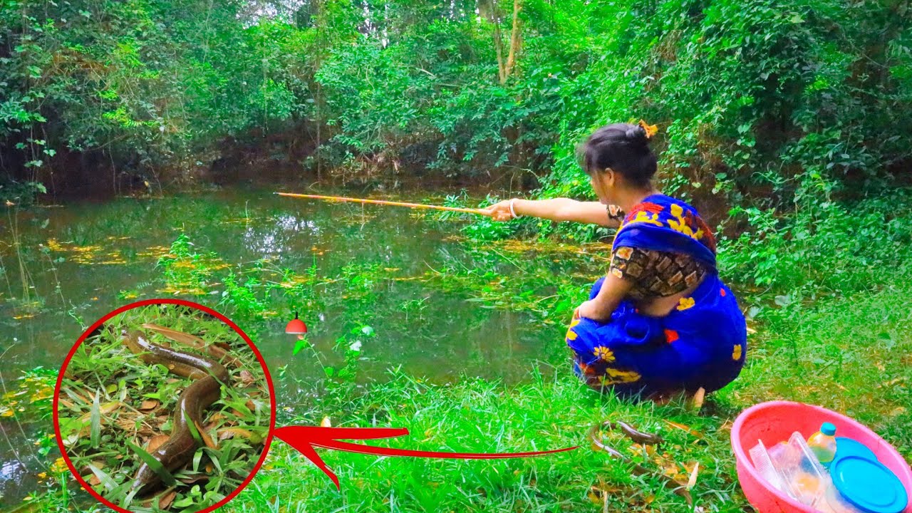 Fishing Video || The Village Skilled Fisher is Fishing in Forest Ditch ...