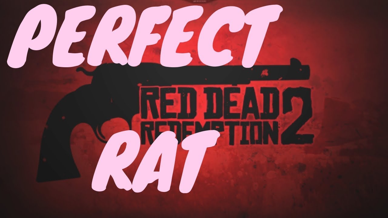 Red Dead Redemption 2 Perfect Rat - YouTube