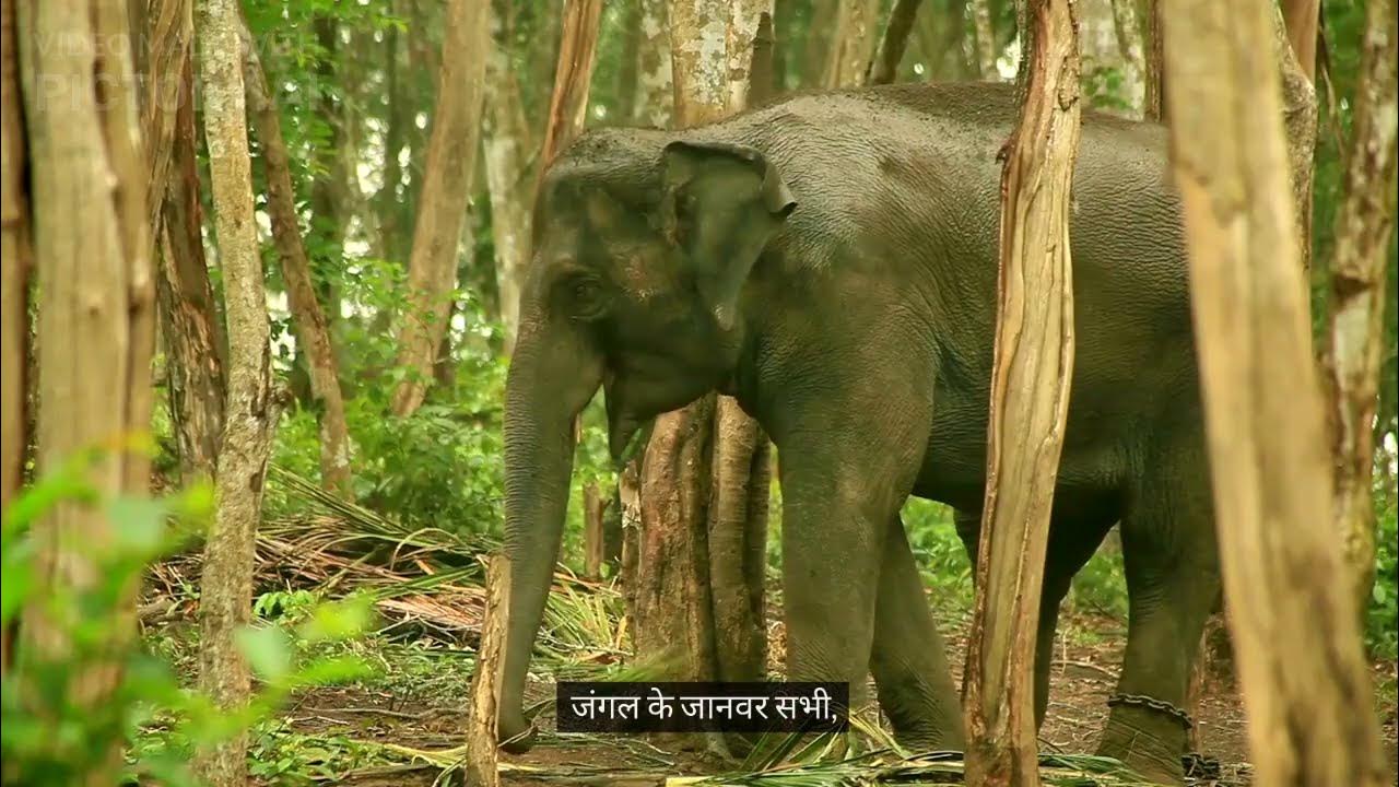 Sapno ki Dunia - YouTube