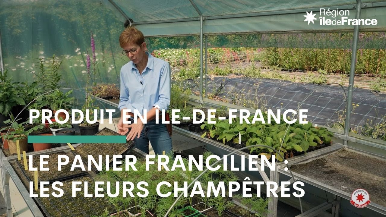 Le panier francilien - Les fleurs champêtres - YouTube