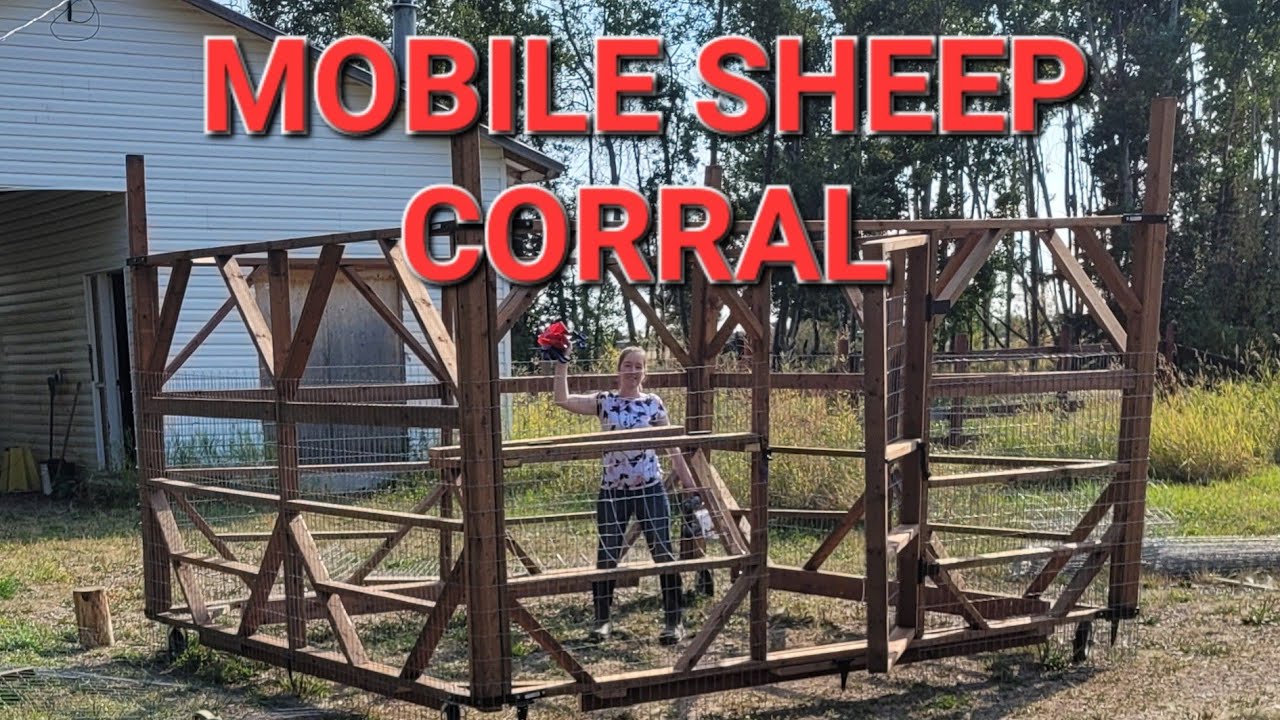 Sheep Vlog: Building a mobile sheep corral! - YouTube