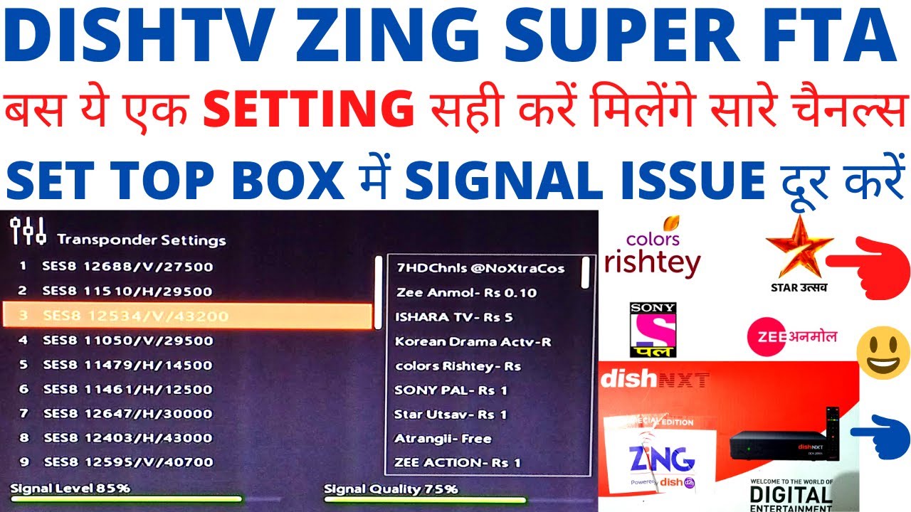 Zing Super FTA DishTV|Channel Signal Settings|Zing Super FTA में ...