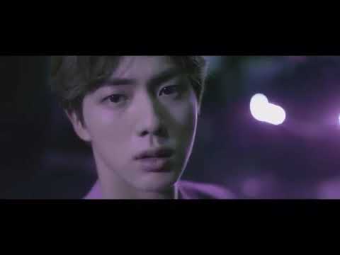 BTS - Blood Sweat & Tears FMV (Japanese Version)