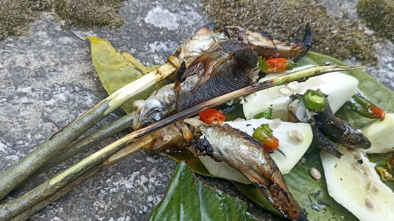 SURVIVAL IN THE Rainforest - caught fish Recipe And Eating in Forest ...