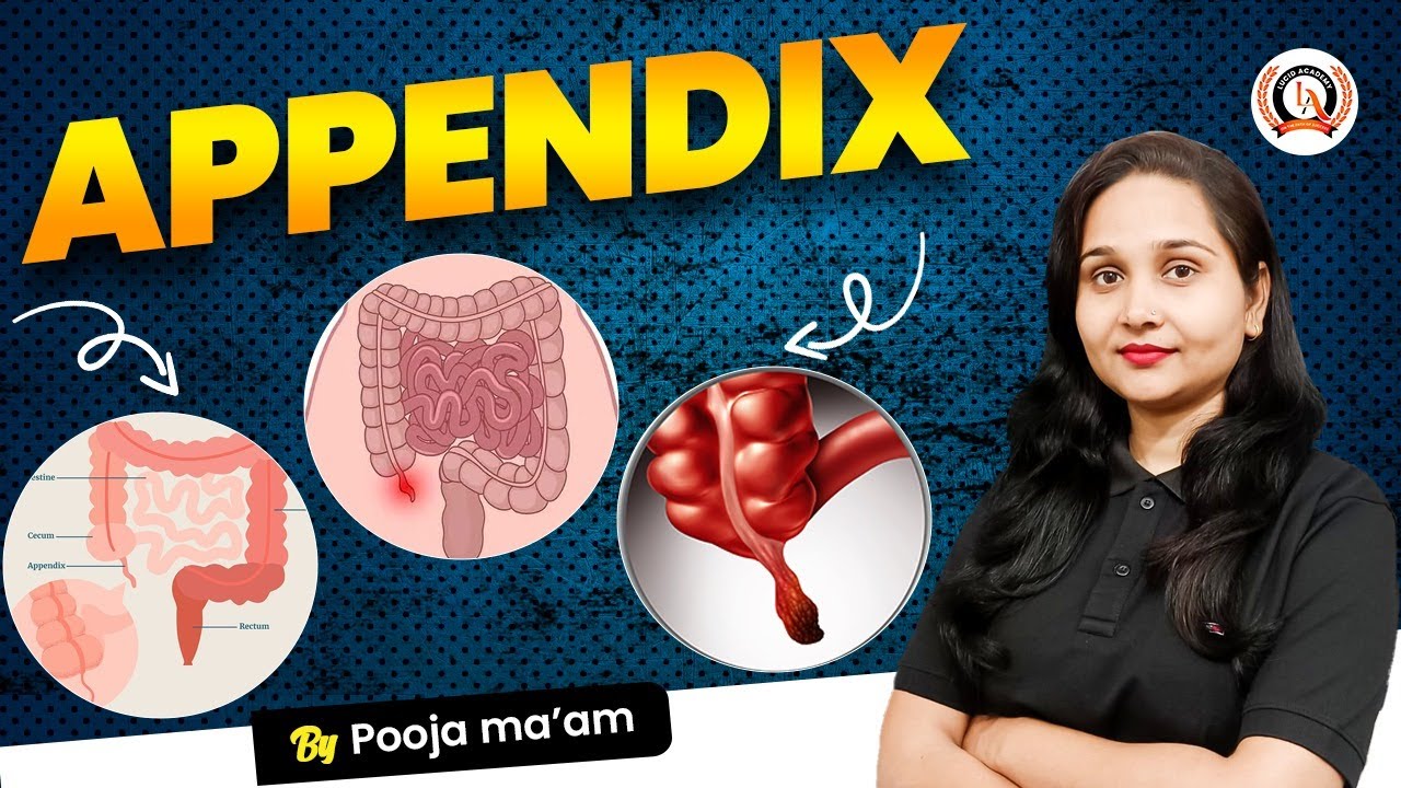 Appendix Symptoms, Pain Full Explanation by Pooja Mam - YouTube