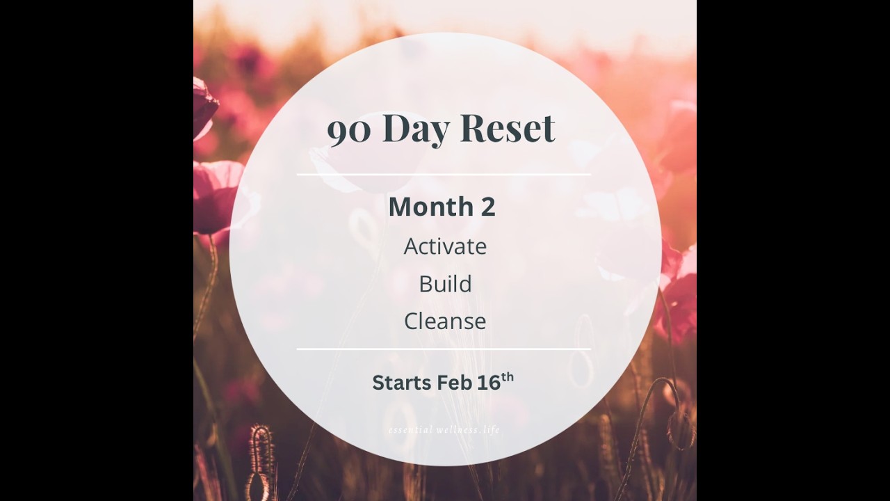 90 Day Reset - Phase 2 - YouTube
