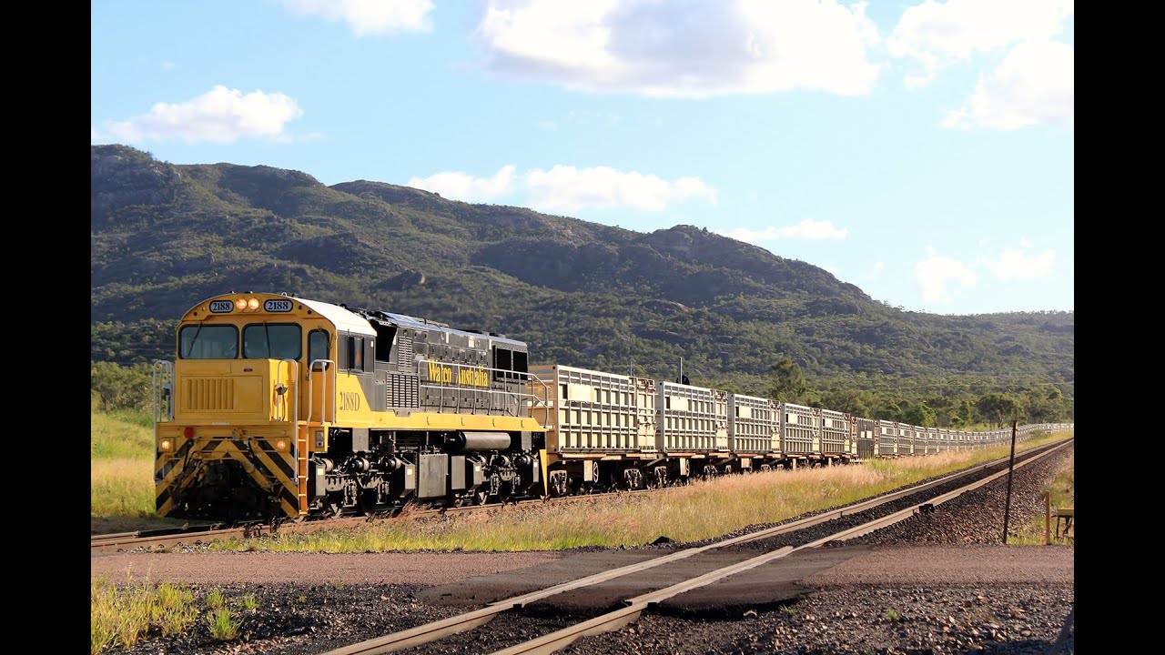 Queensland Trains: Watco March 31st - YouTube