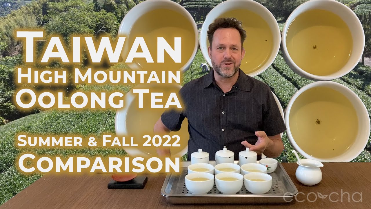 Taiwan High Mountain Oolong Summer Fall 2022 Comparison | Eco-Cha Teas ...