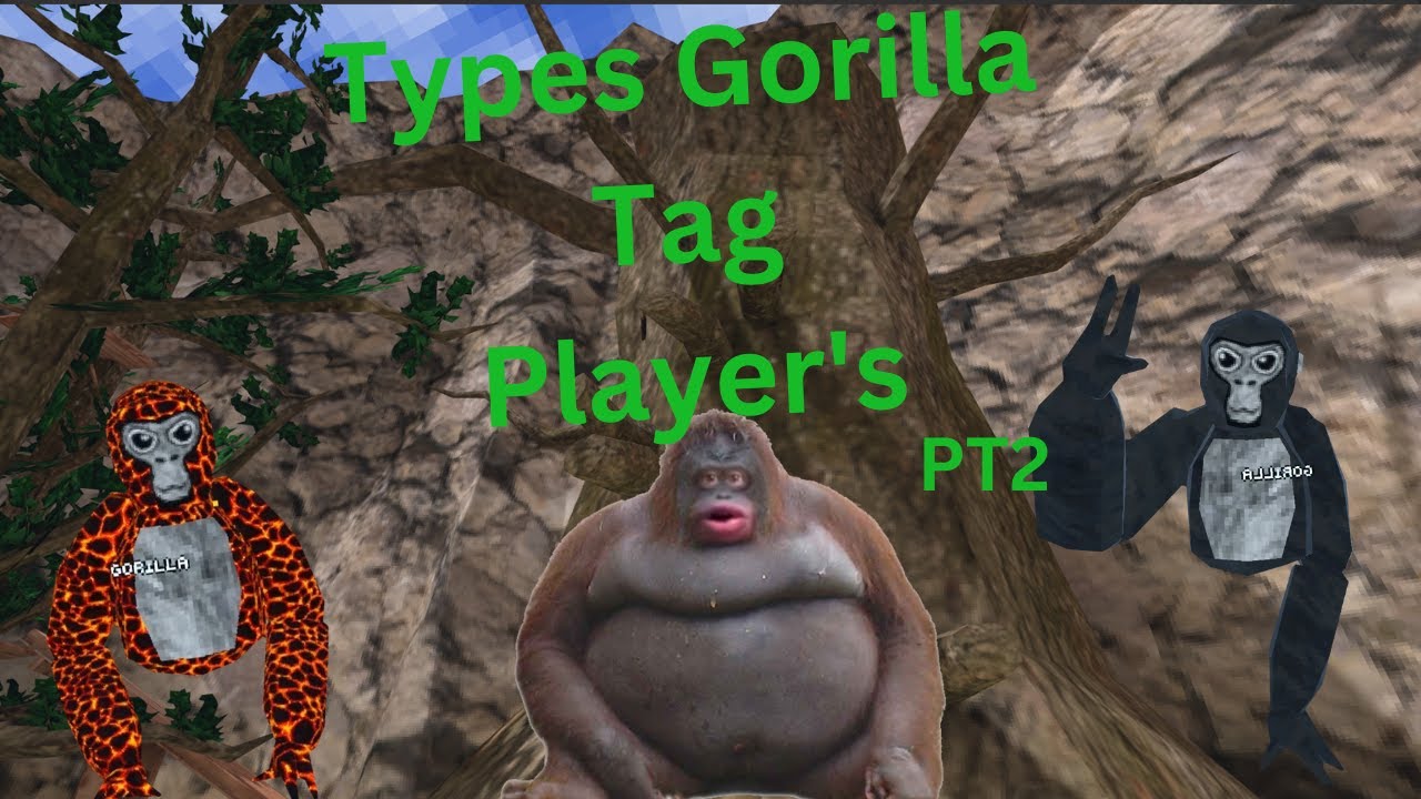 Types Gorilla Tag Players pt2 - YouTube