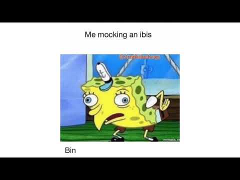 IBIS MEME COMPILATION - YouTube