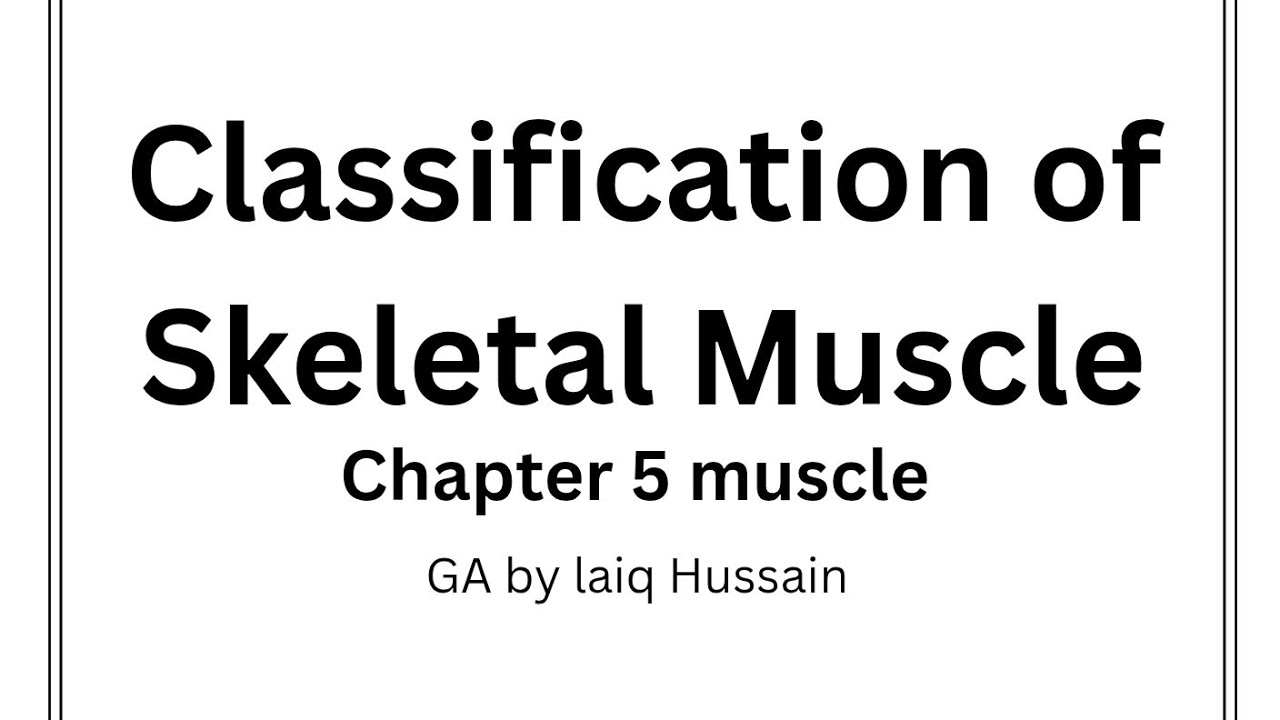 Classification of skeletal muscles made easy - YouTube