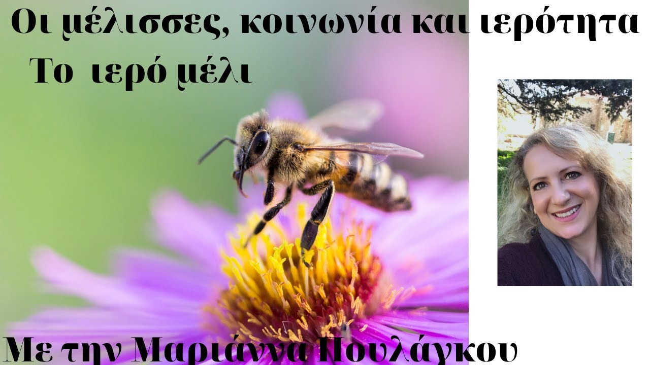 ΤΙ ΗΤΑΝ ΟΙ ΜΕΛΙΣΣΕΣ ΚΑΙ ΤΟ ΜΕΛΙ ΣΤΗΝ ΑΡΧΑΙΑ ΕΛΛΑΔΑ ΓΙΑ ΤΟΥΣ ΑΝΘΡΩΠΟΥΣ ...
