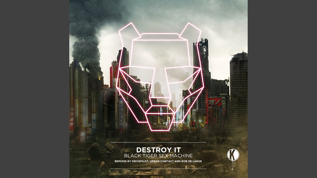 Destroy It (Rob De Large Remix) - YouTube